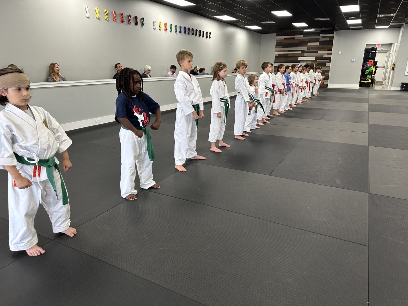 Karate Training & Resources | Detroit, MI | Zanshin Karate